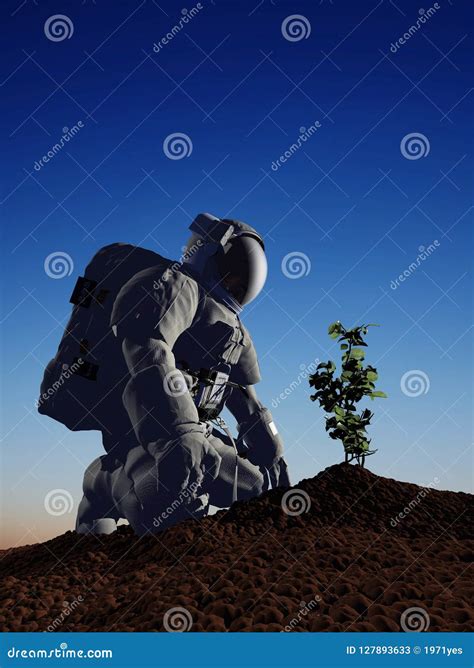 Tree In Space Stock Illustration Illustration Of Nature 127893633