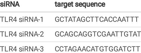 Target Sequences Of Three Sirnas Download Scientific Diagram