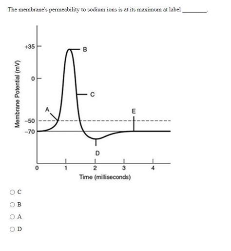 Solved The Membranes Permeability To Sodium Ions Is At Its