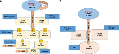 Connective Tissue Growth Factor Classification Tree Analysis For Download Scientific Diagram