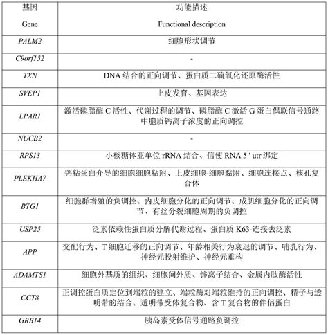 一组影响母猪繁殖性能的基因及其筛选方法