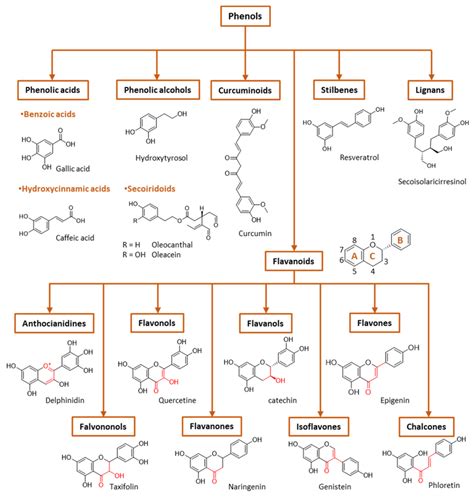 General Classification Of Polyphenols Download Scientific Diagram
