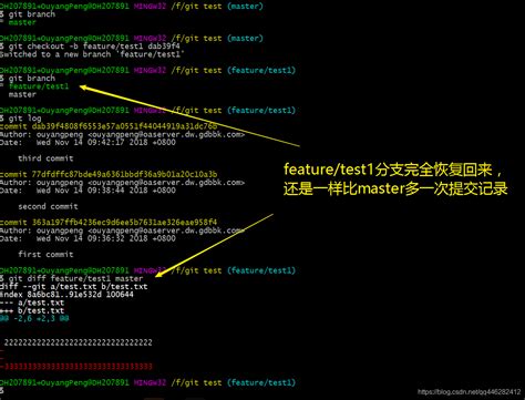 【git学习】使用git Reflog 命令来查看历史提交记录并使用提交记录恢复已经被删除掉的分支 Csdn博客