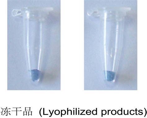 一步法恒温支原体检测试剂盒 细胞培养专用 广州亿宁生物技术有限公司
