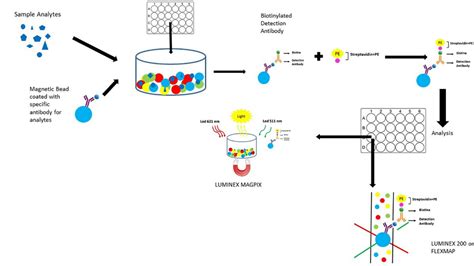 Luminex Multiplex Assay Labinsights