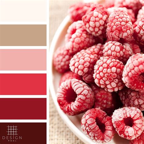 Red Raspberries In A White Bowl With Brown And Pink Hues On The Side