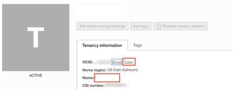 Verifying The Newly Created Oracle Cloud Infrastructure Oci Tenancy
