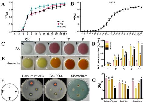 Characterization Of Kinetic Growth Rate Curve A B And Pgp Traits Download Scientific Diagram