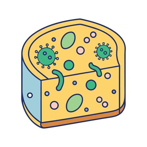 Understanding Microbial Fermentation In Cheese 59094284 Vector Art At