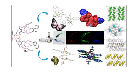 Coordination Driven Salamo Salen Salamo Type Multinuclear Transition
