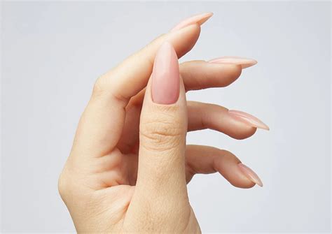 Biab Pe Cosmetics Global