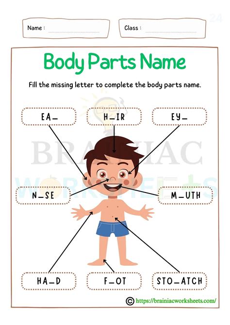 Body Parts Name Lkg Evs Worksheet Brainiac Worksheets