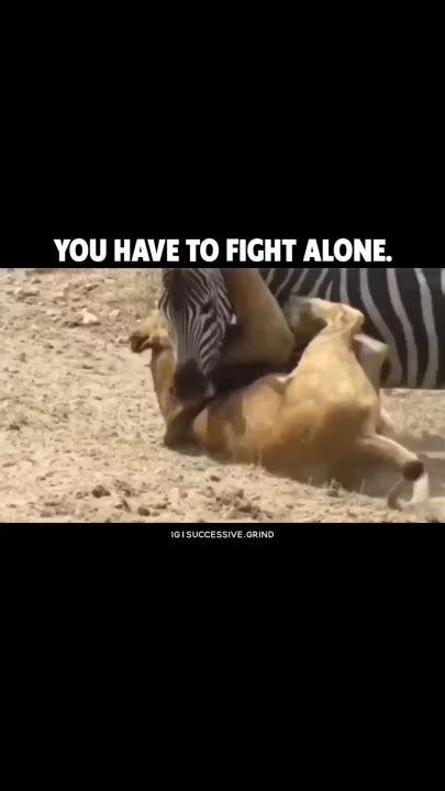 Sakshi Kumari Posted On Linkedin