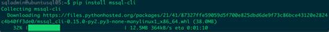 Using Client Tools Level 4 Of The Stairway To Sql Server On Linux