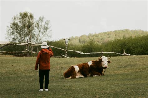 Animationinzestmomson Photos Download The Best Free Animation