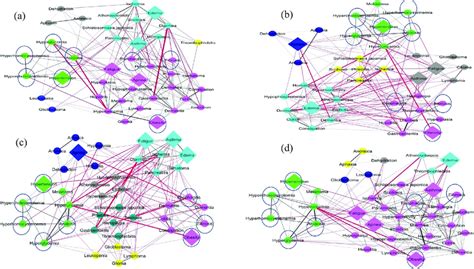 The Dsn Subjected To The Four Community Detection Algorithms Based On