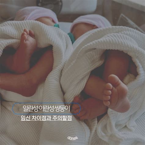 일란성 이란성 쌍둥이 임신 차이점과 주의할점 네이버 블로그