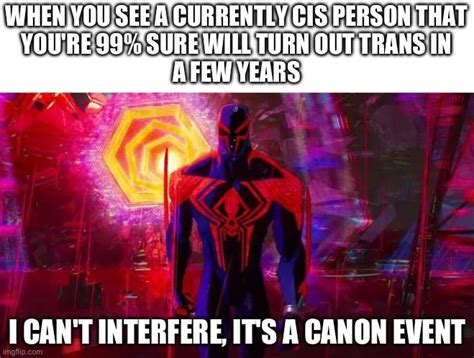 Cant Violate The Prime Directive Rtraaaaaaannnnnnnnnns2