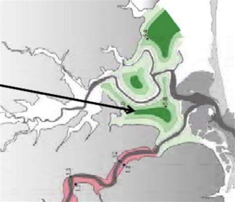 8 Biogenic Sedimentary Structures Trace Fossils Flashcards Quizlet