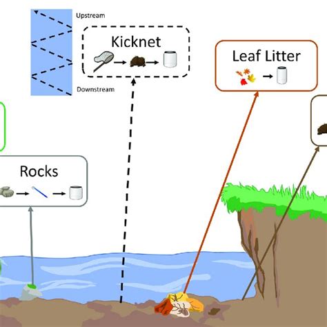 Pdf Freshwater Diatom Biomonitoring Through Benthic Kick Net Metabarcoding
