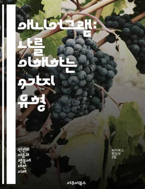 애니어그램 나를 이해하는 9가지 유형 자아 성격 유형 관계 성장 심리학 자기인식 동기 감정 행동 변화 갈등 소통 개발 통찰력 패턴 직업