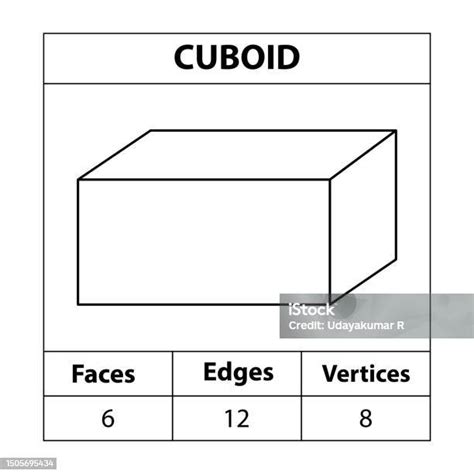 직육면체 가장자리 꼭짓점 기하학적 도형 윤곽선이 흰색 배경에 분리되어 있습니다 3d 모양 수학에서 벡터 그림 3차원 형태에 대한 스톡 벡터 아트 및 기타 이미지 Istock