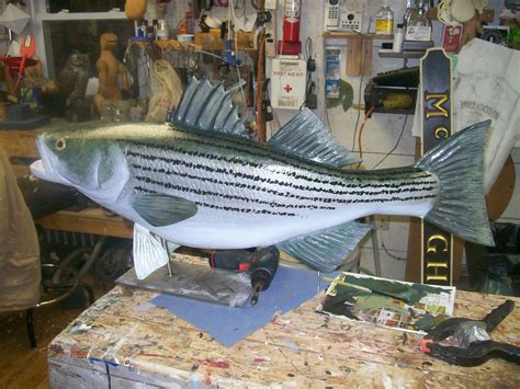 Striped Bass 002 Yankee Woodcarvers Hand Carved Signs Plymouth