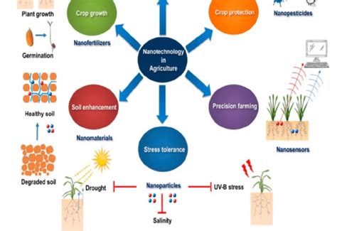 Nanotechnology Applications In Agriculture Download Scientific Diagram