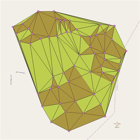 Polygon Convex Hull Geometry Issue Geographic Information Systems