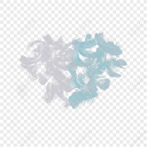 하트 모양의 흰색 깃털과 파란색 깃털 하트 일러스트 다운 깃털 겁쟁이 Png 일러스트 무료 다운로드 Lovepik