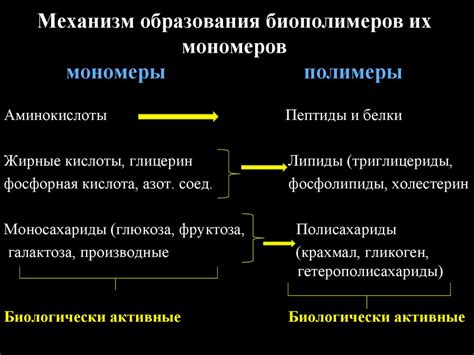 Введение в биохимию Строение и функции белков пептидов и аминокислот презентация онлайн