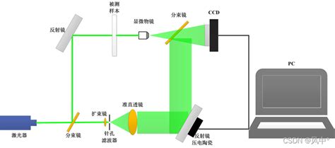 洋葱细胞数字全息显微实验演示数字全息实验 Csdn博客