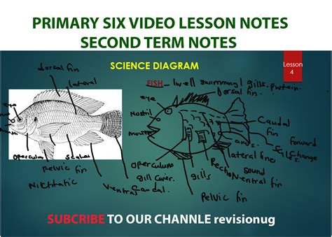 Science Notes And Question Papers 2025