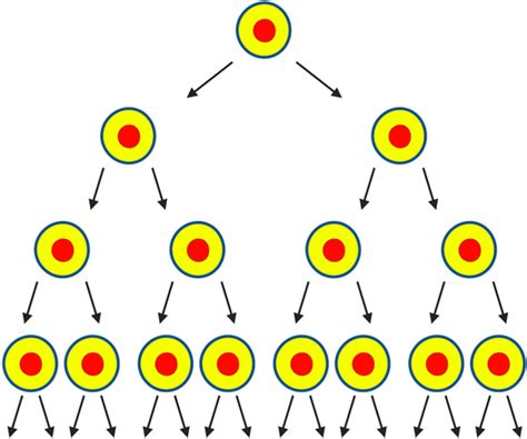 senomic continuity throughout cellular evolution plasma membrane based