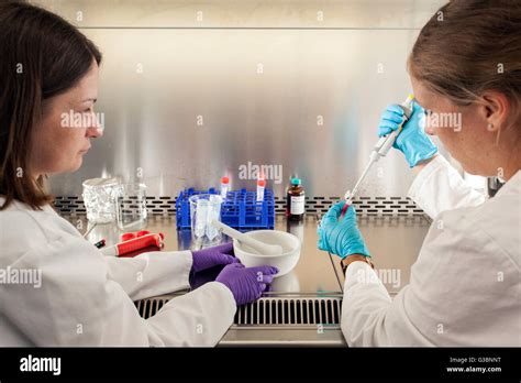 RNA Isolation In A Genetic Laboratory Stock Photo Alamy