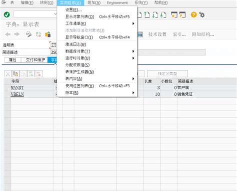 Abap Sm30维护视图 阿胖的阿多 博客园