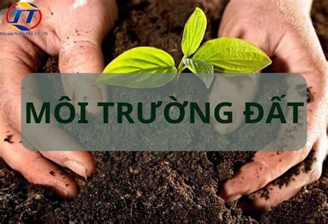 Môi Trường đất Là Gì Khái Niệm ô Nhiễm Môi Trường đất