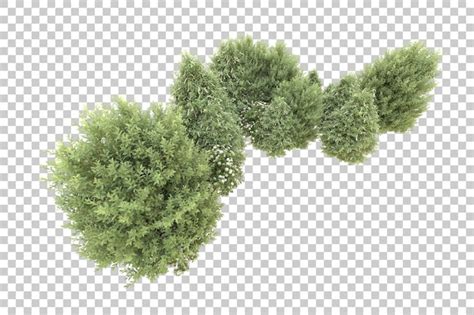 Treetops Psd 300 High Quality Free Psd Templates For Download