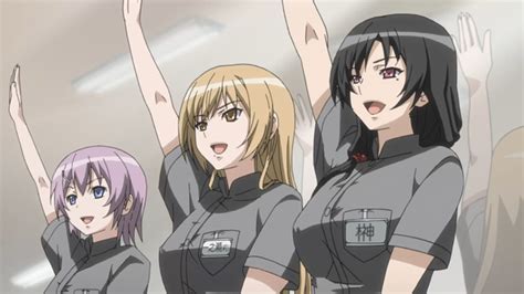 Rinsenransem Cross Mix