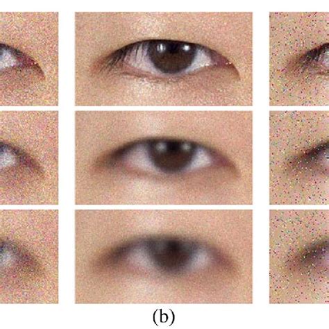 Some Examples Of Images With Added Noise Gaussian Noise A Poisson Download Scientific