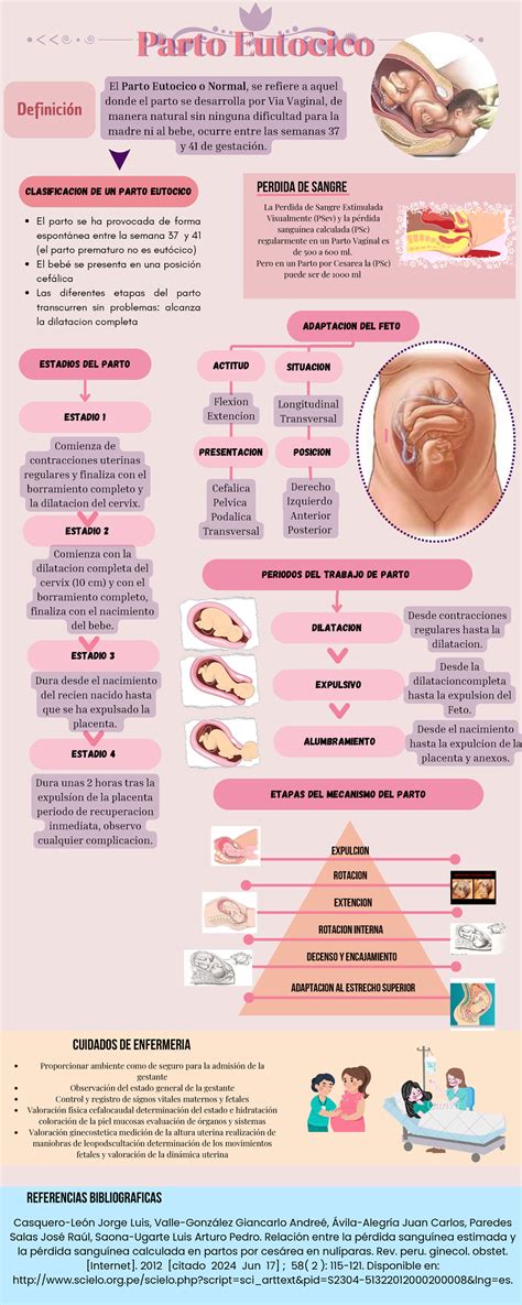 Infografía Parto Eutocico Definición Clasificacion De Un Parto