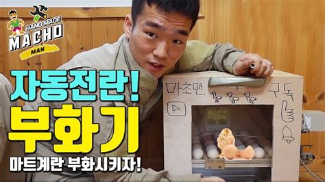 40만원짜리 최고급 병아리 부화기 만들기자동전란 부화기 만드는 방법집에서 병아리 부화시키기자연인시골라이프부화기알콤 병아리치킨마초맨 Youtube