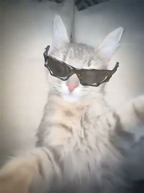 Pov شێوەی من کاتێ لە خەو هەڵەسم ٧ بەیانی بۆ مەکتەب 😂😂 Youtube