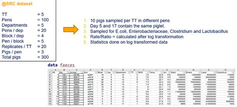 Using Proc Glimmix In Sas — Examples Towards Ai