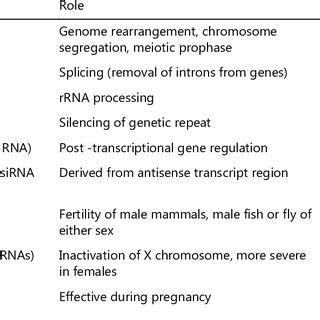 List Of Small RNAs And Their Function Download Table