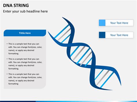 DNA String PowerPoint And Google Slides Template PPT Slides