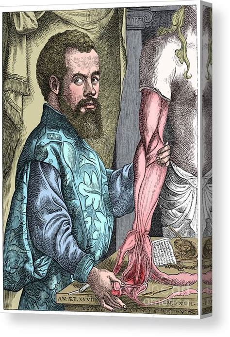 Andreas Vesalius Dissection