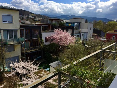 With Prefers Color Scheme Media Query Chris Ruppel