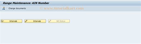 J 1IRAINNO SAP Tcode Number Range Maintenance J 1IRAINNO Transaction Code