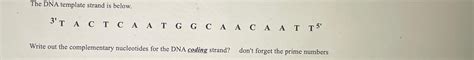 Solved The DNA Template Strand Is Below Write Out The Chegg Com